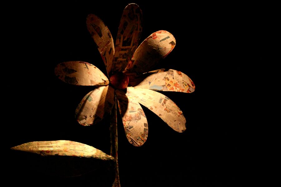 A Maior Flor do Mundo – por Hugo Cabral Mendes e Inês Gomes - Fundação ...